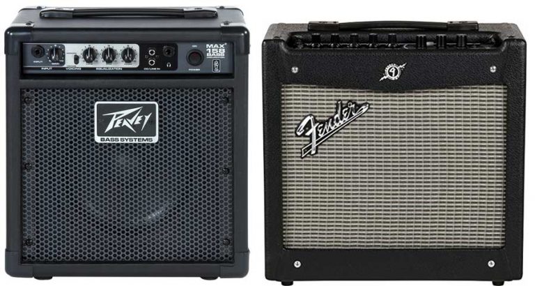 Can You Play Bass With a Guitar Amp? Everything You Need to Know ...